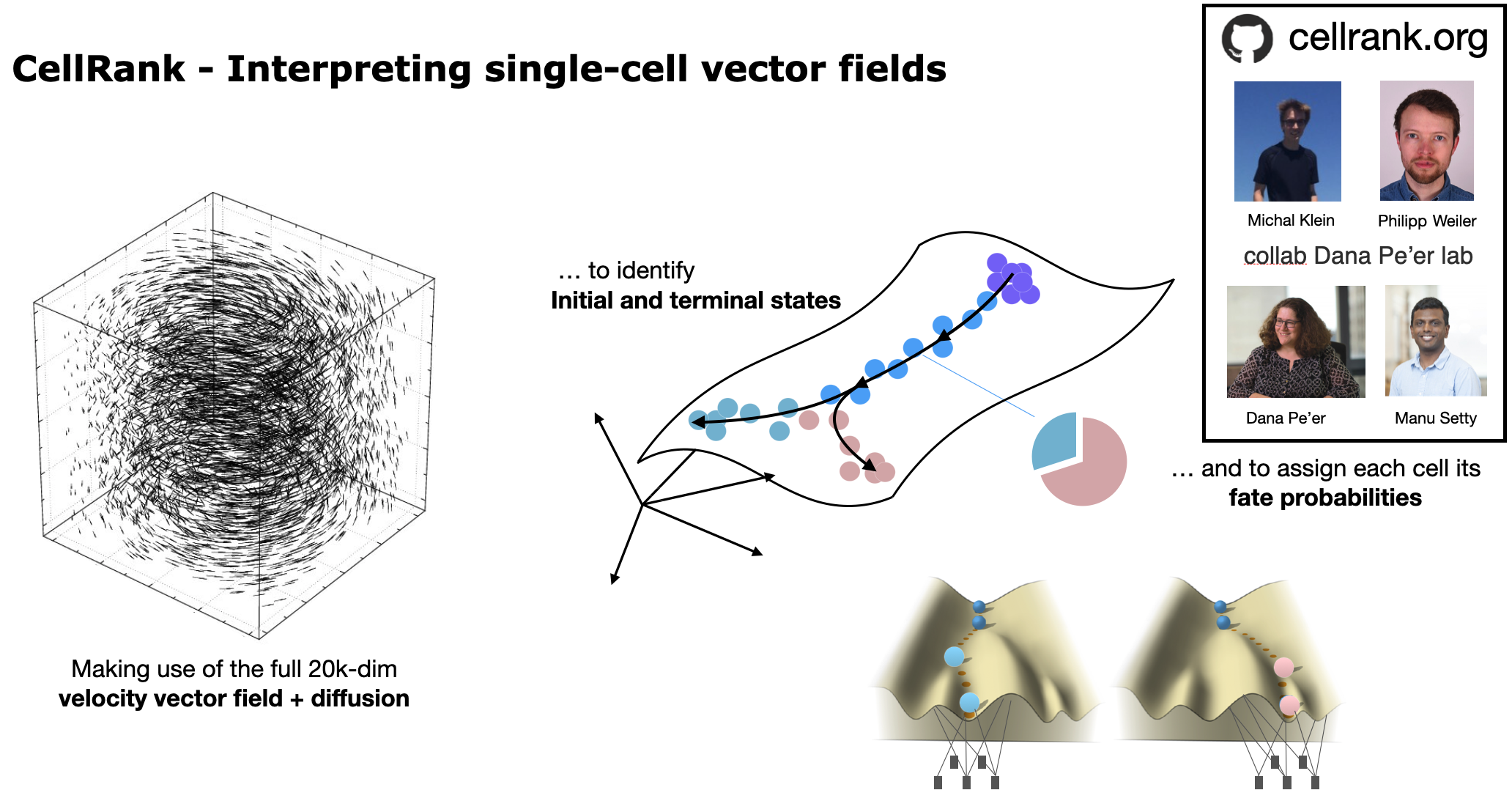 CellRank for directed single-cell fate mapping (ISMB/ECCB) | Marius Lange