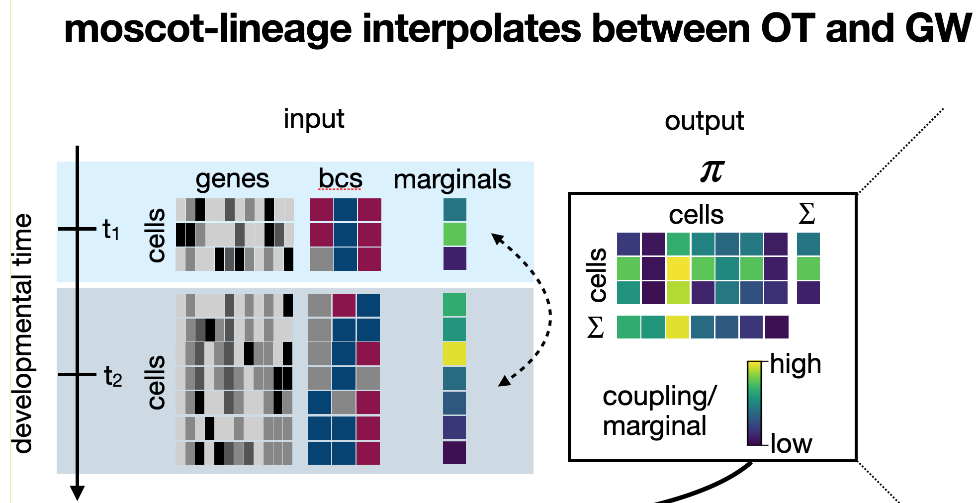 Mapping lineage-traced single cells across time points (NeurIPS LMRL ...