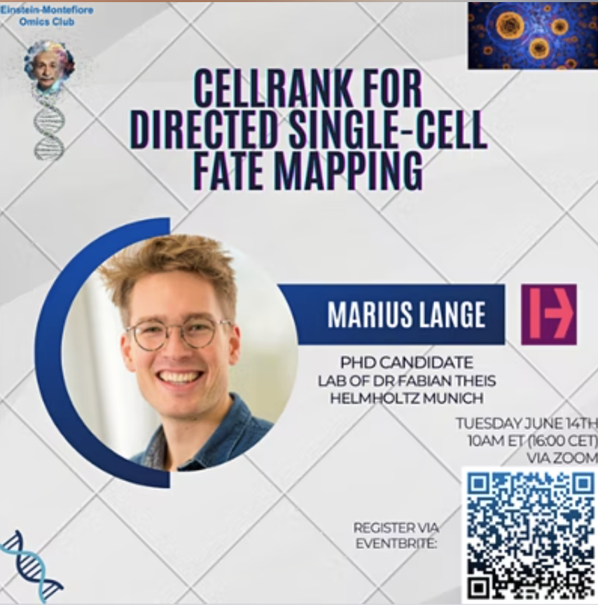 CellRank @ Einstein-Montefiore Omics Club | Marius Lange