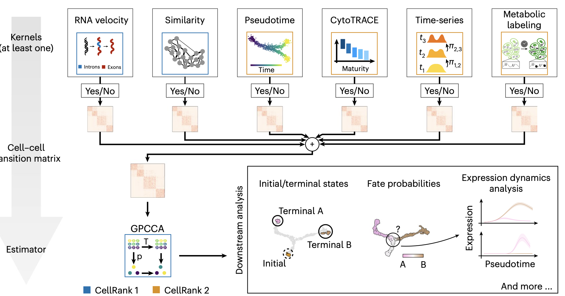 CellRank 2 gets published in Nature Methods and wins the Helmholtz Software Award | Marius Lange