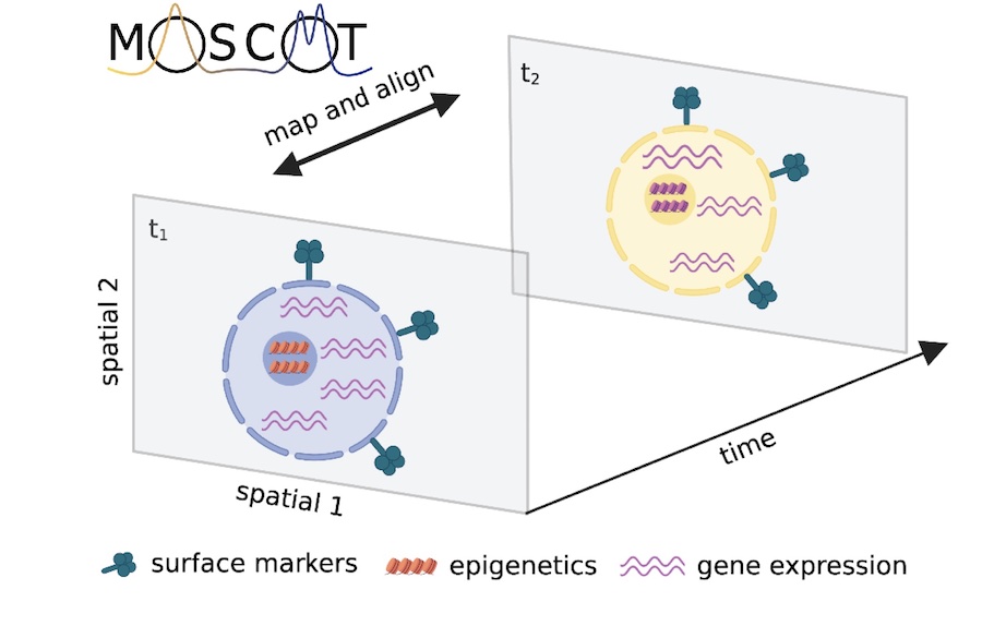 moscot preprint out | Marius Lange